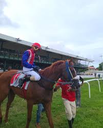 Second Racehorse Dies at Garrison Savannah in Days - Starcom Network